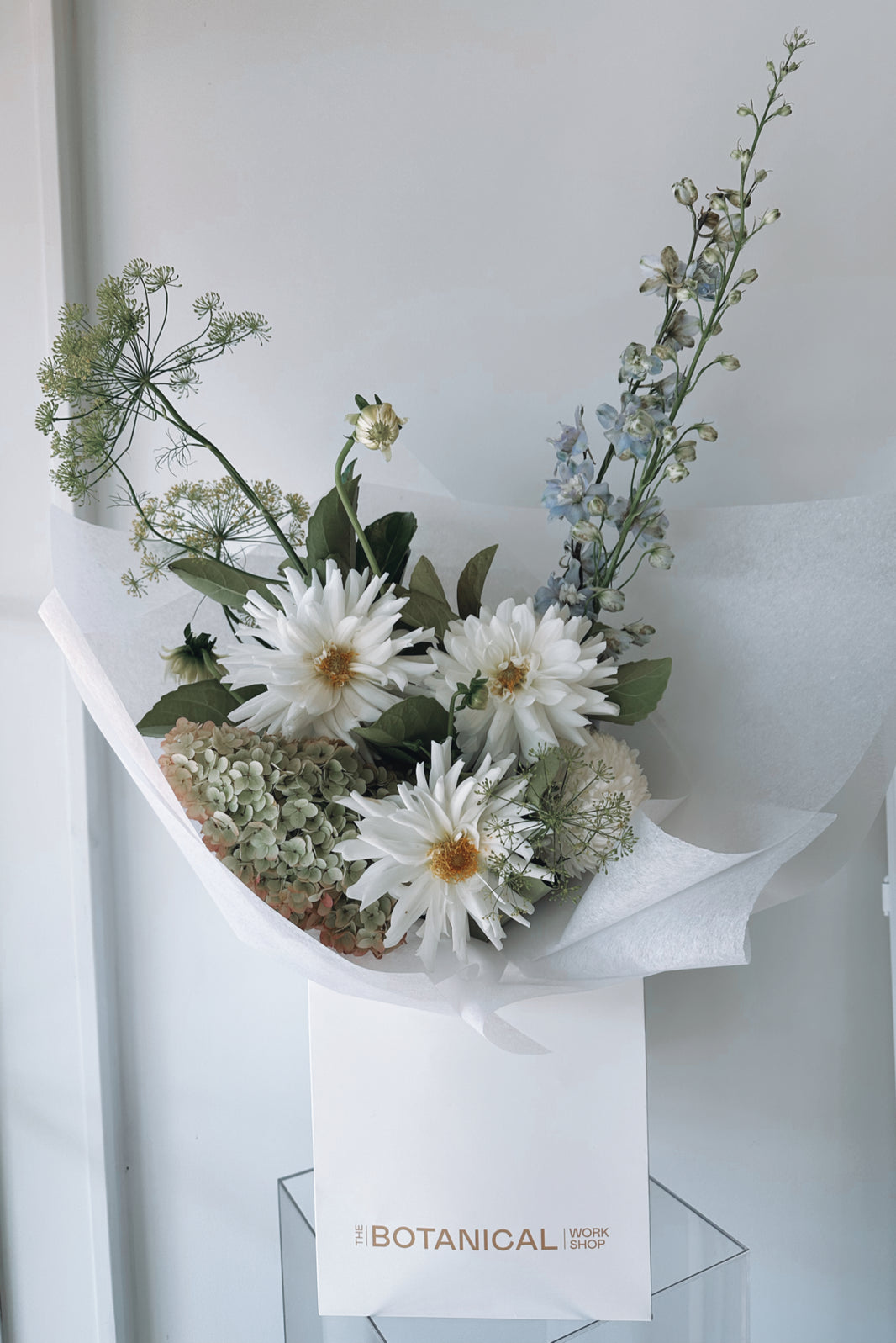 The Botanical Workshop – thebotanicalworkshop