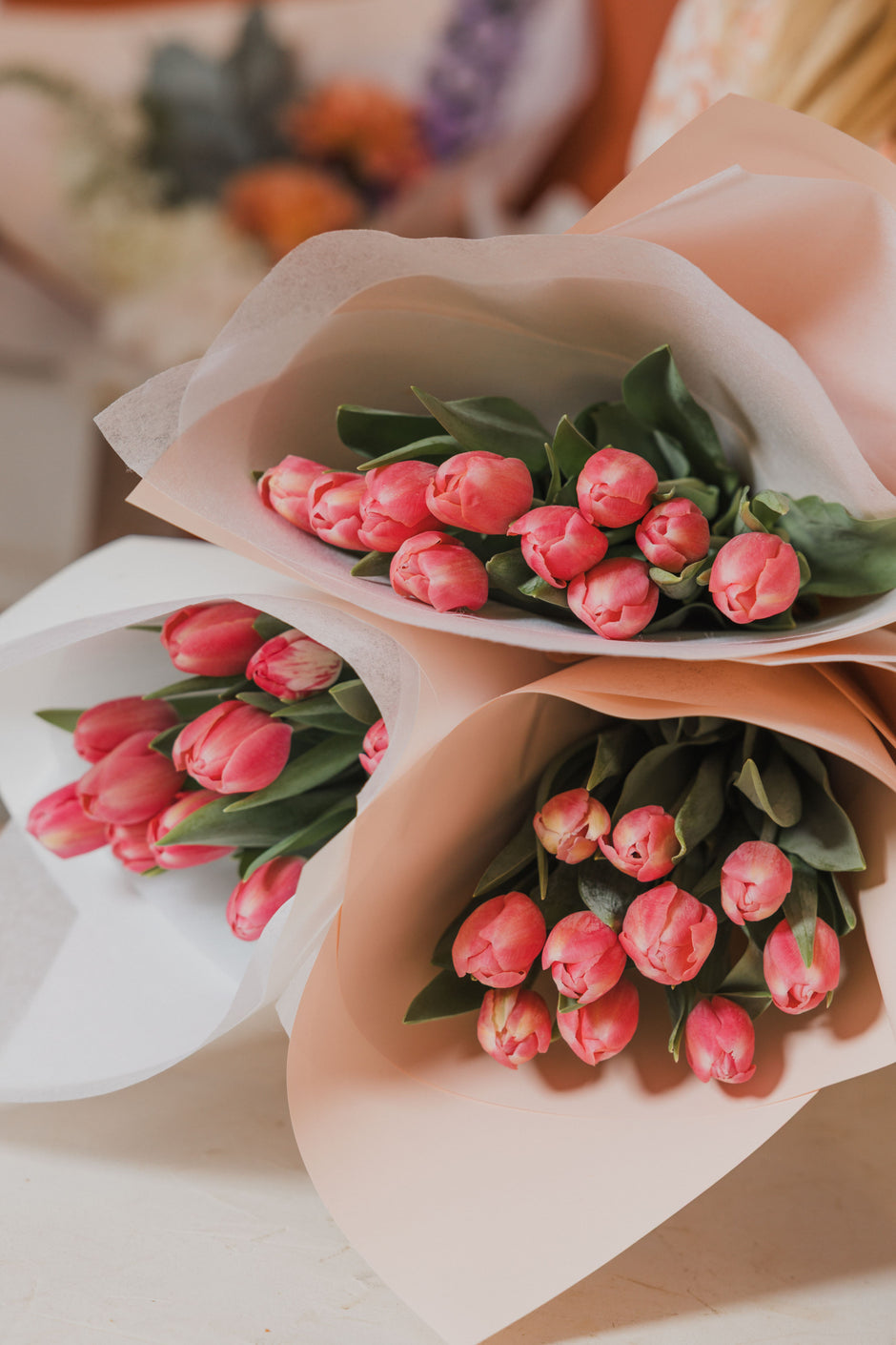 The Botanical Workshop – thebotanicalworkshop