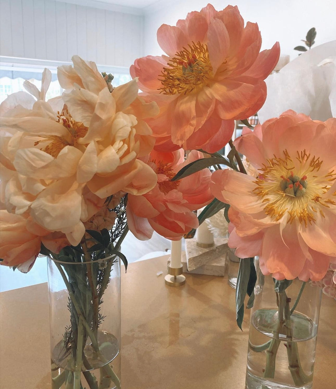 The Botanical Workshop – thebotanicalworkshop