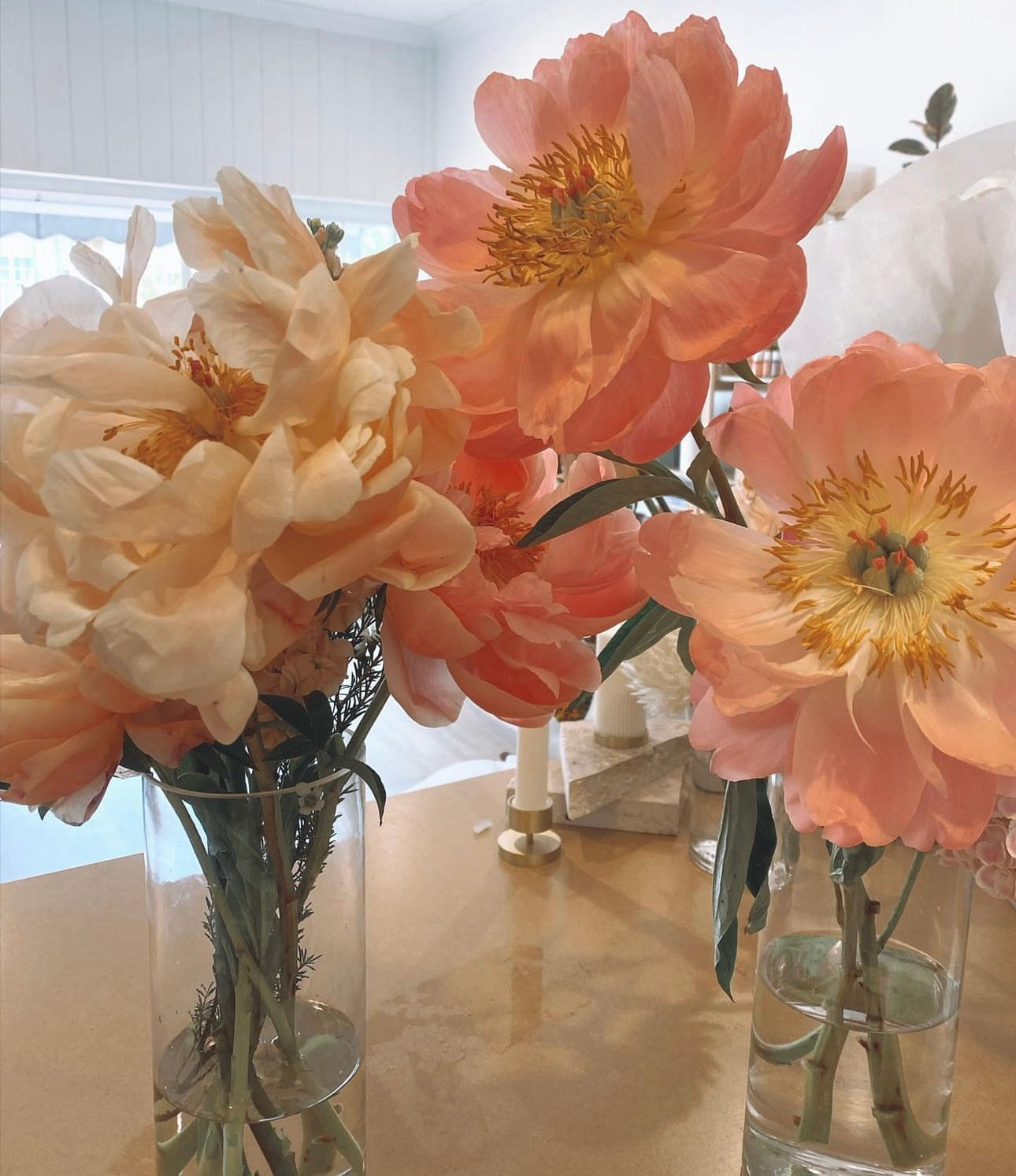 The Botanical Workshop – thebotanicalworkshop