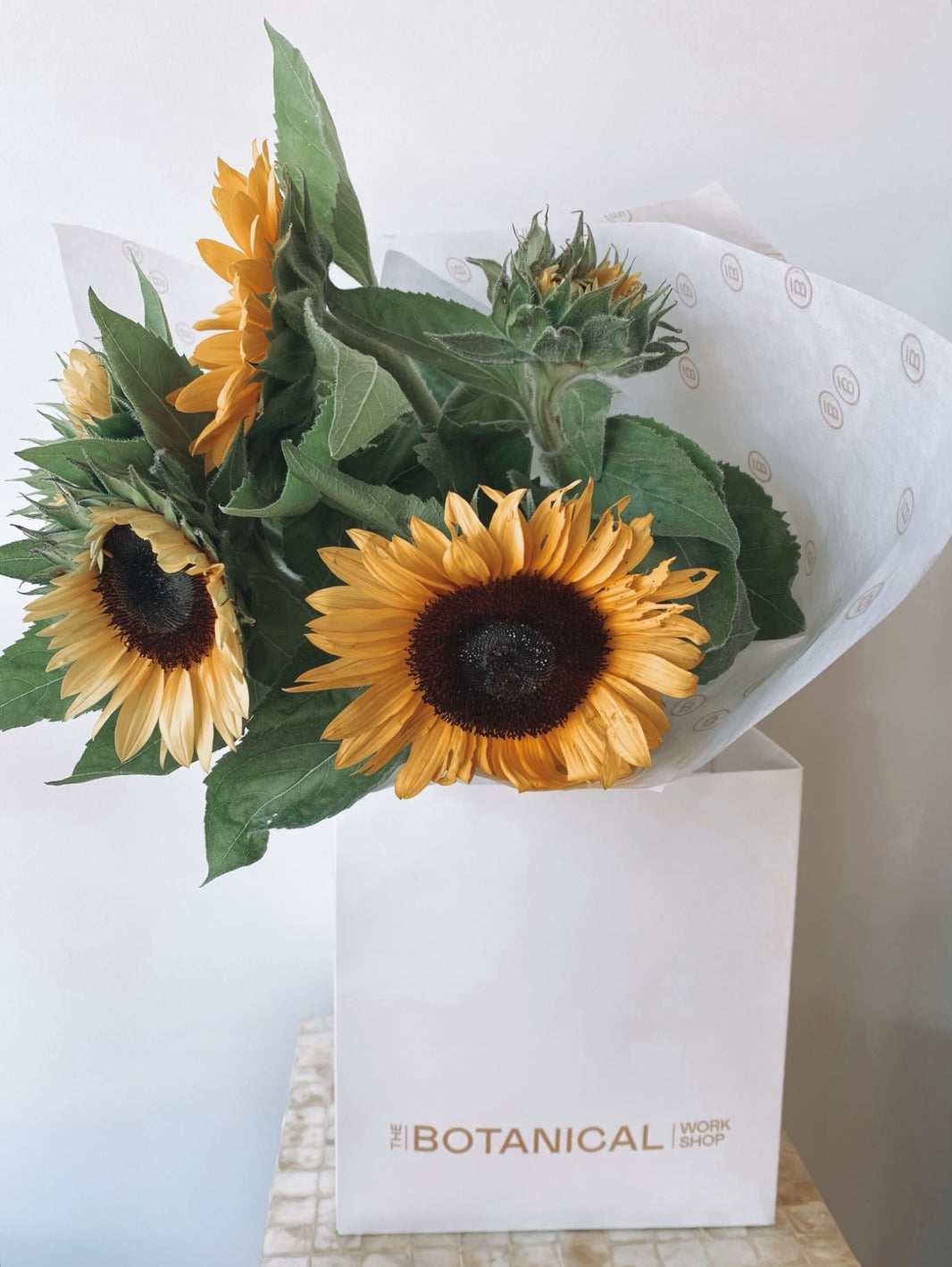 The Botanical Workshop – thebotanicalworkshop